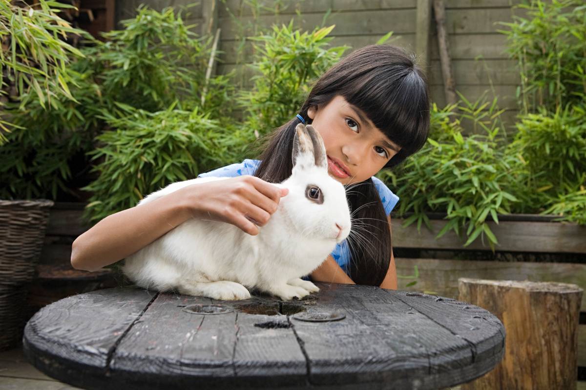 Signs Of Fear Or Anxiety In Rabbits: With Causes & What To Do ...