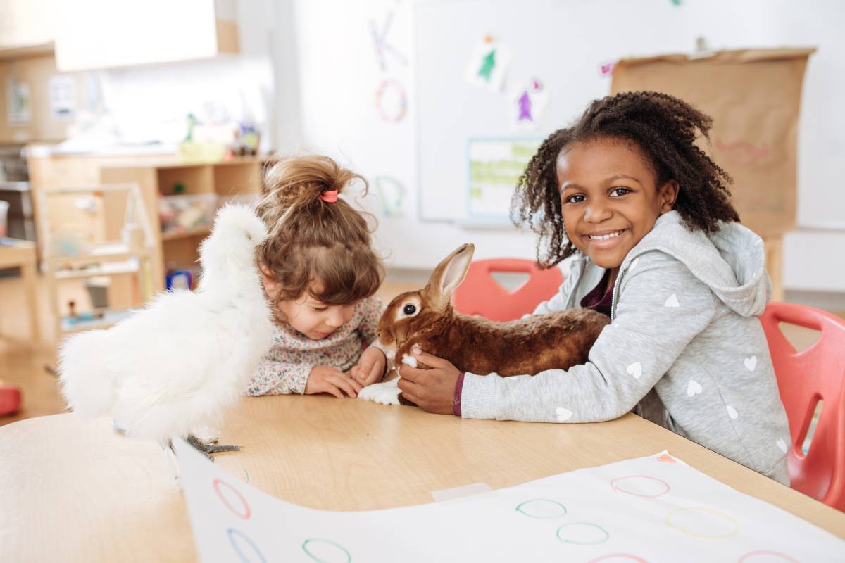 How To Bond With Your Pet Rabbit: Simple Steps For A Happy Hoppy ...