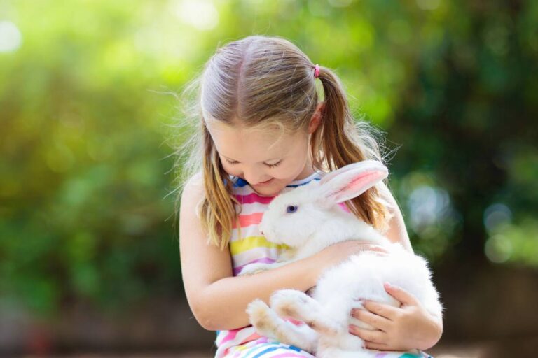 How To Bond With Your Pet Rabbit: Simple Steps For A Happy Hoppy ...